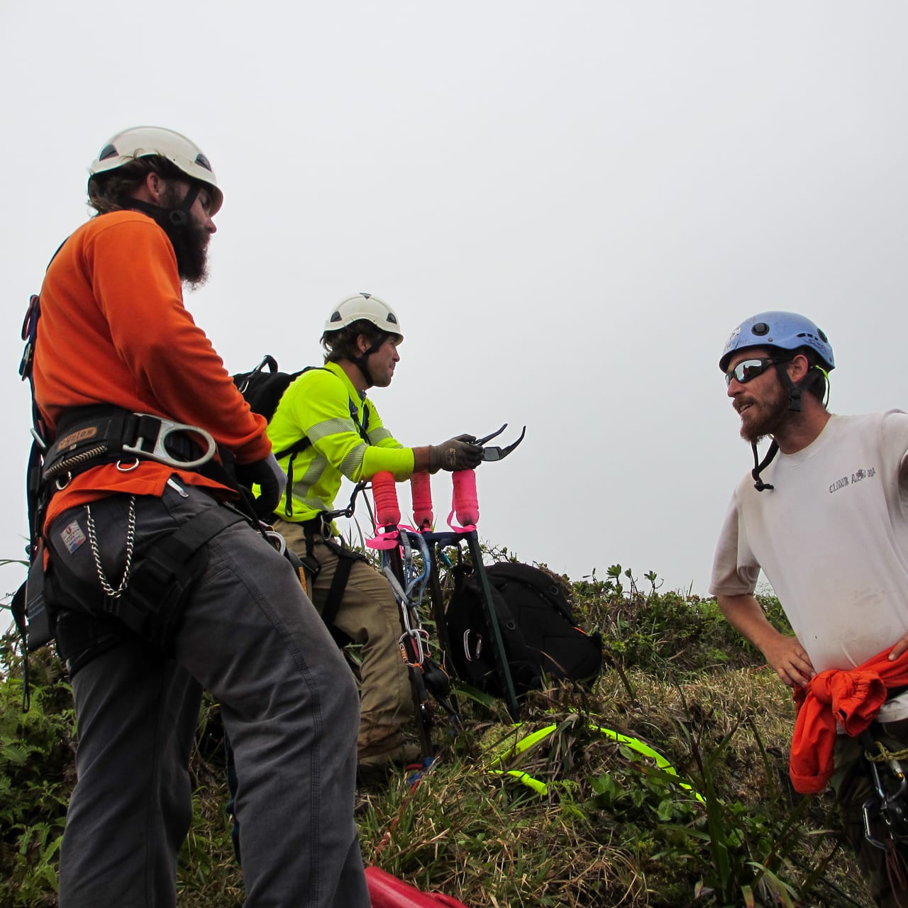 Clientele – Climb Aloha